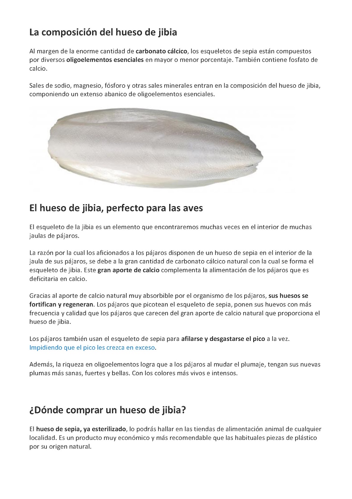 ACer Aviario: Hueso de Jibia