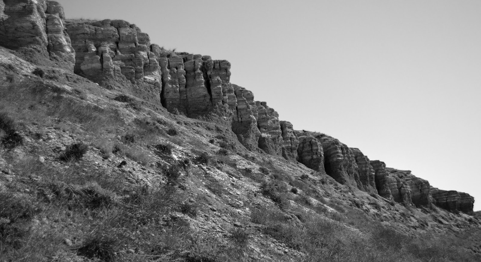 JP Photography: 2016