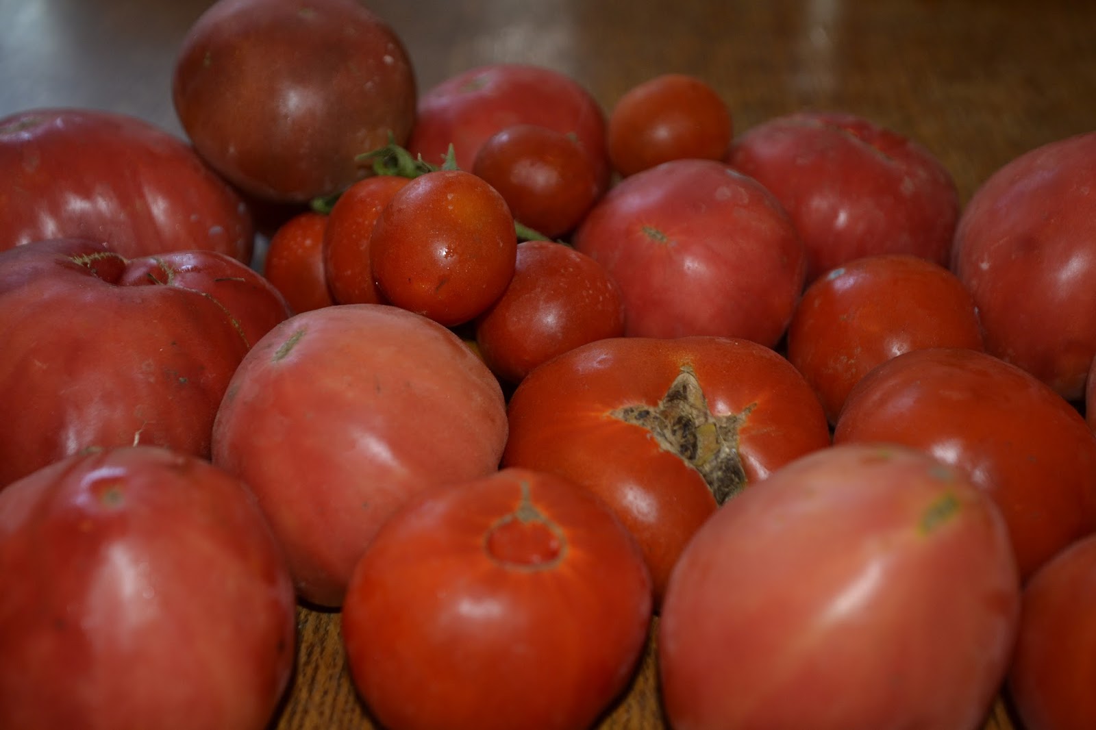 cele patru anotimpuri: Roșii - memento pentru anul viitor