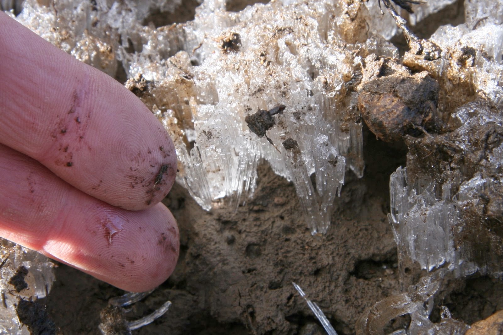 Geog100: 2: Landforms and Environmental Hazards