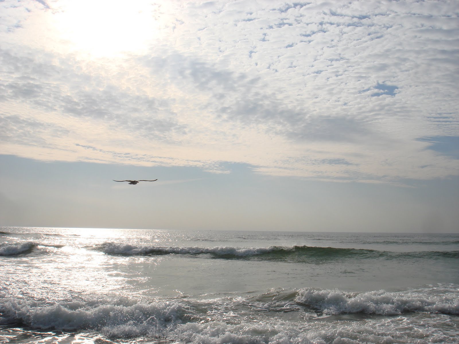 Ogunquit Beach Inn, & other adventures....: Endless Sea, Endless Sea