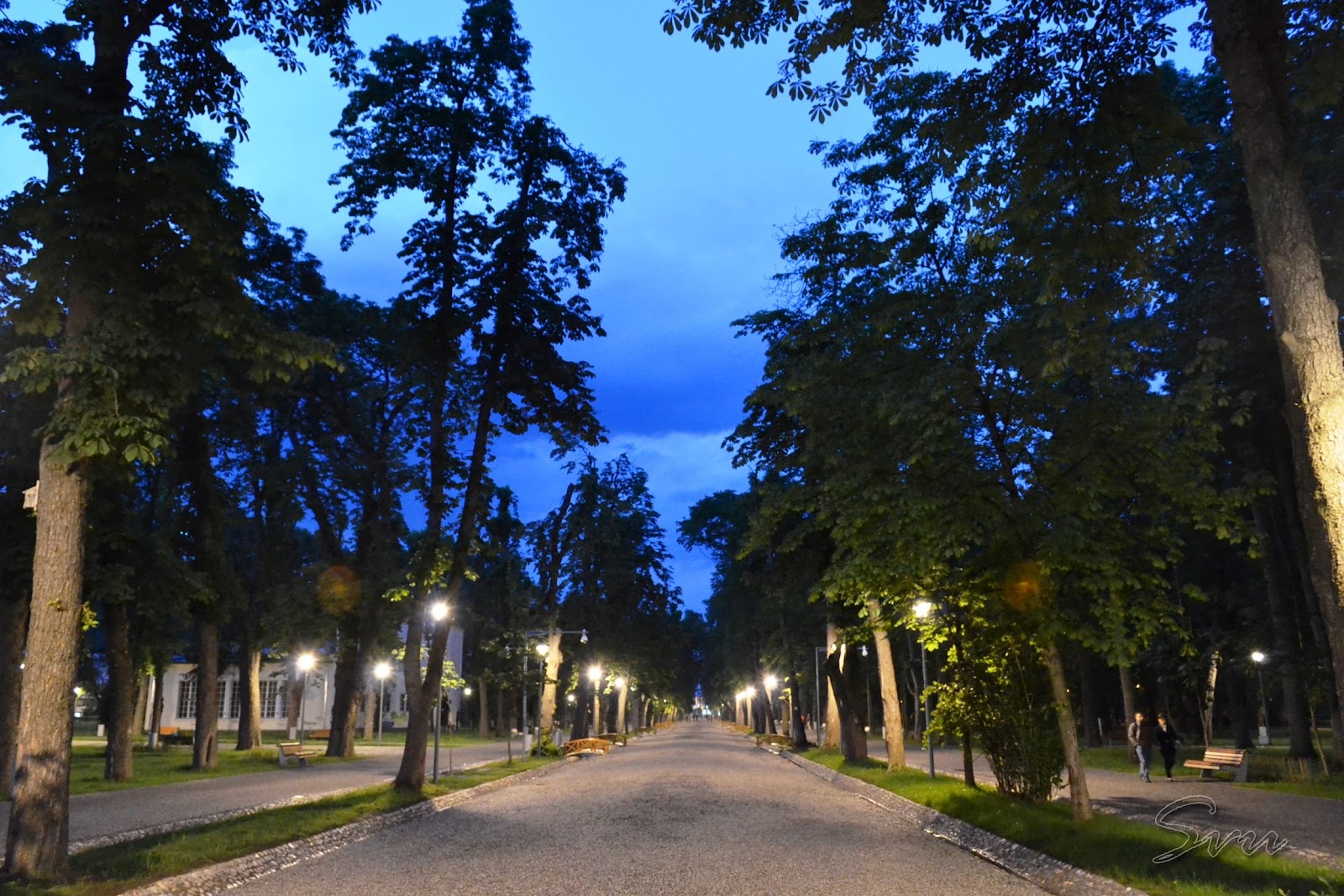 Silviu Cristea Photography: Parcul Central Cluj-Napoca