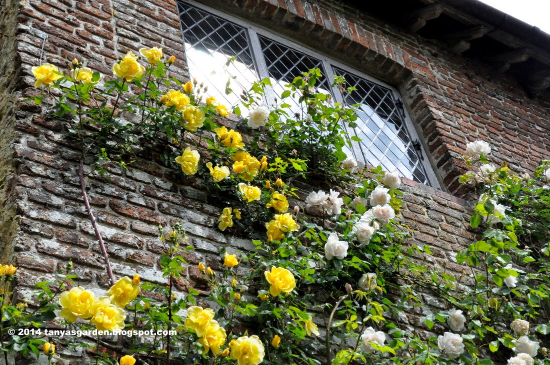 MySecretGarden: Sissinghurst Cottage Garden Pictures. (Part 4)