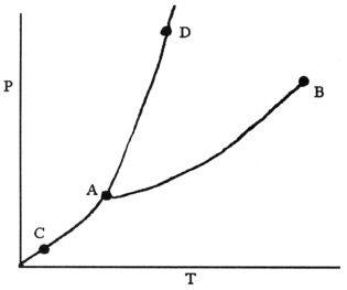 MariePreAPChem: Heating Curve and Phase Diagrams