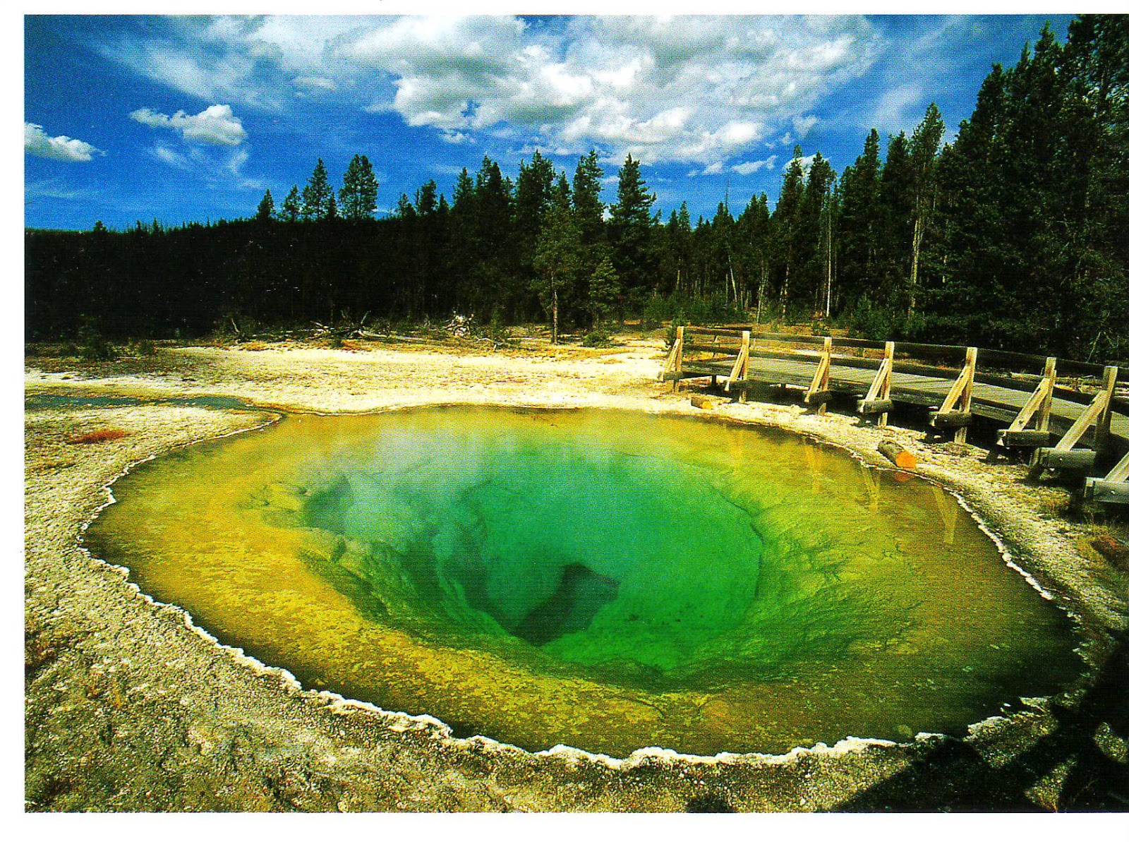 Yellowstone National Park