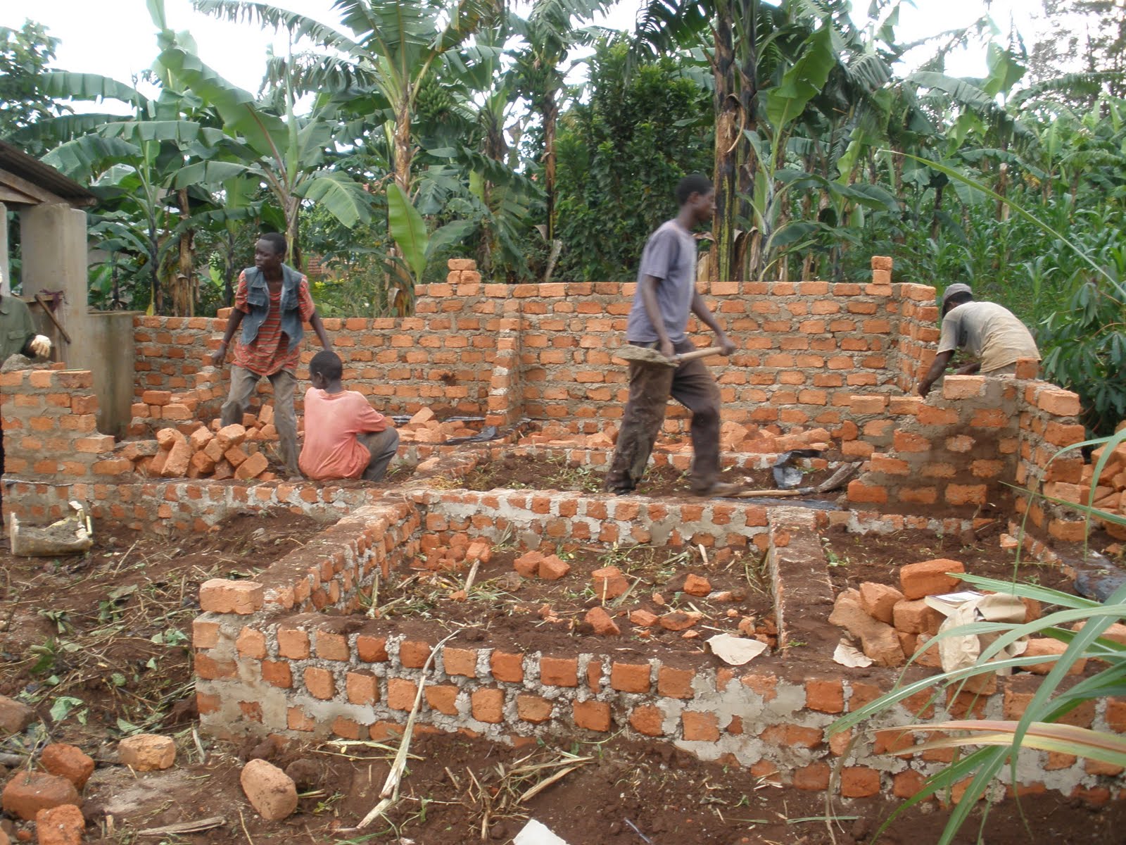 African Summer: Piggery!