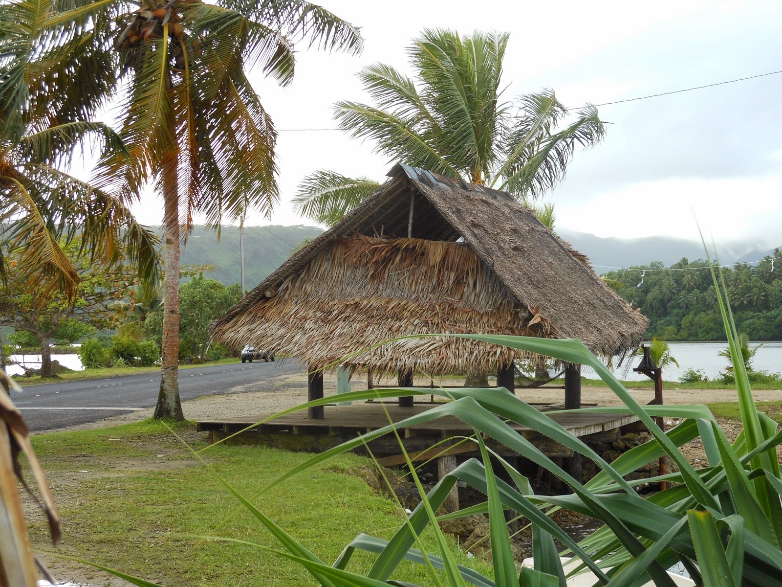 Meet Me in Micronesia: Pohnpei, Pictorally