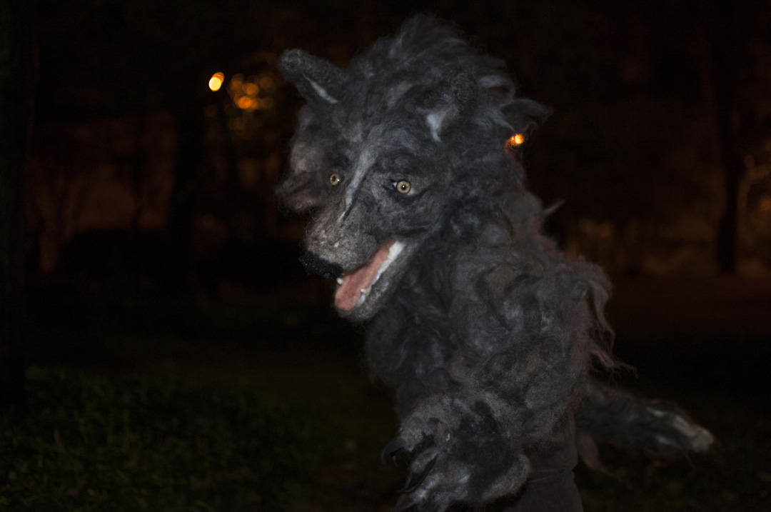 Werewolf in Sheep's Clothing | sweet juniper!