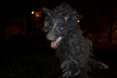 Werewolf in Sheep's Clothing | sweet juniper!