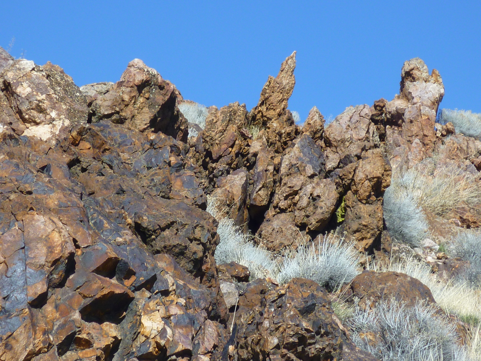 Trailing Ahead: Out of the canyon: Upper Evans Trail
