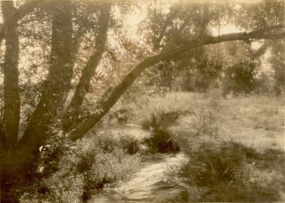 The Museum of the San Fernando Valley: VERY EARLY PHOTOGRAPHS OF ...