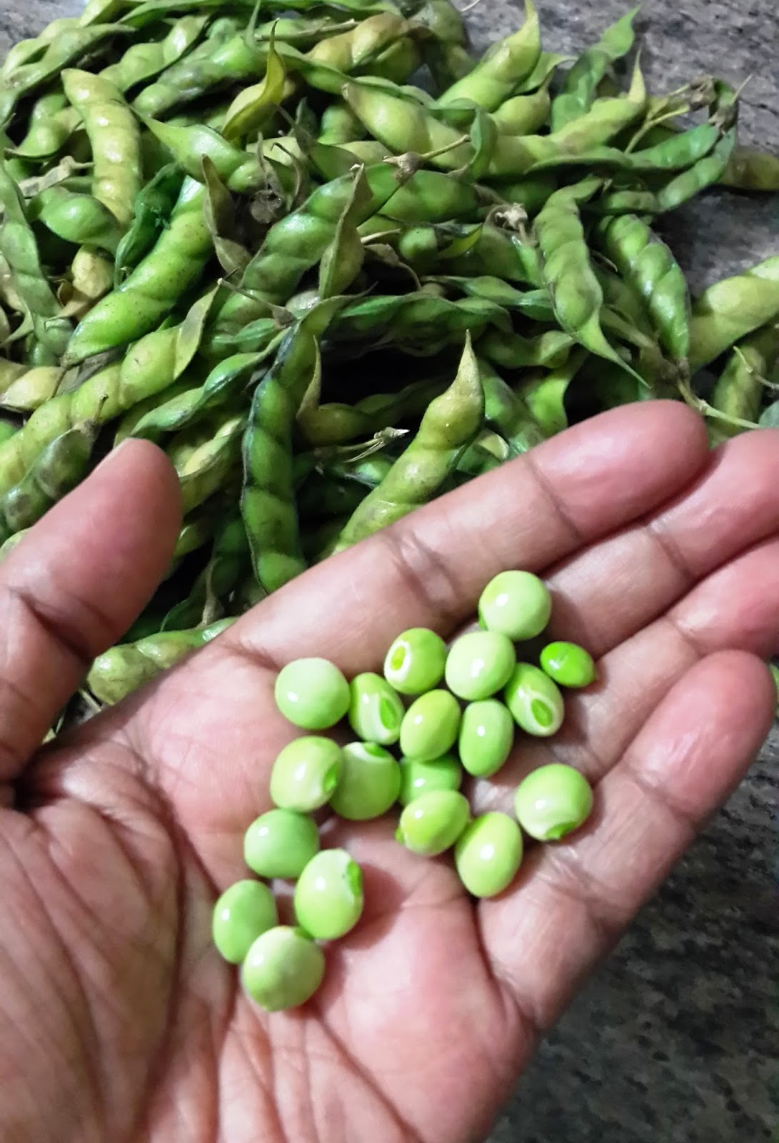 Mumbai Magic: March 2014