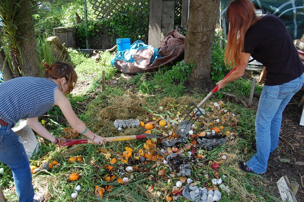 silver in sf: summer undergraduate research assistantships with the USF ...