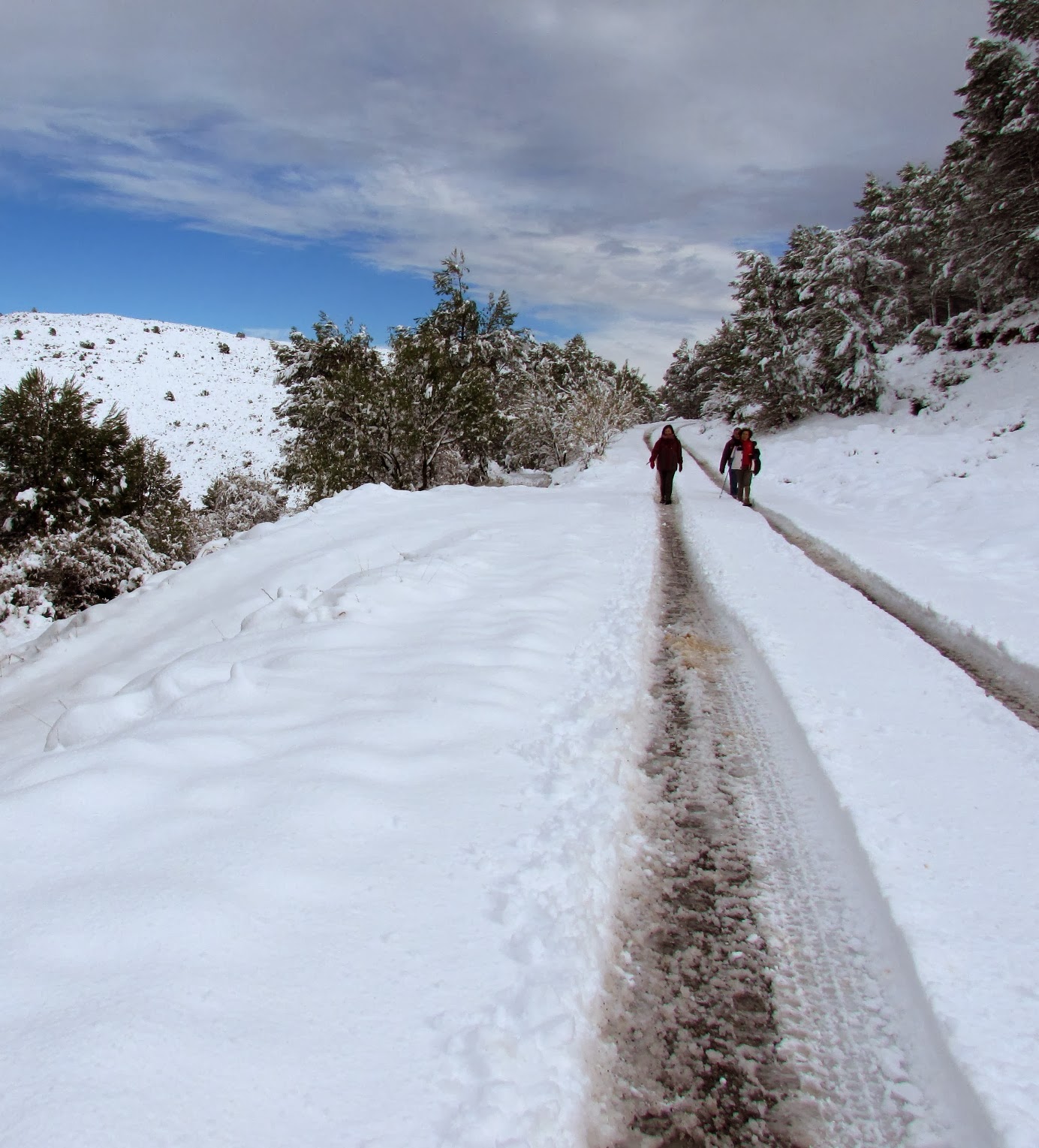 REFLEXIONES: ¡Nieve!