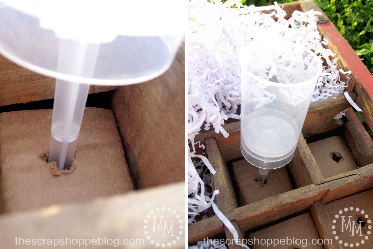 {$10} Rustic Push Pop Holder - The Scrap Shoppe