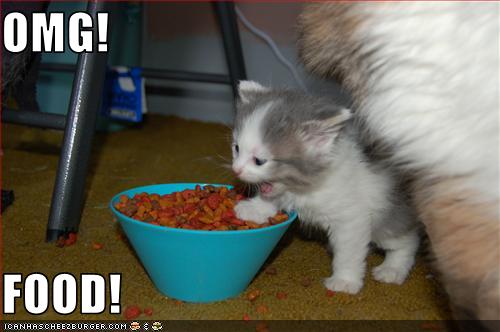 walk on the right side