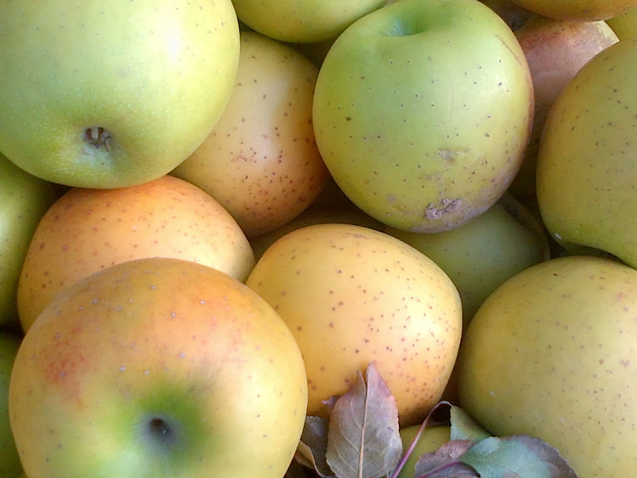 The Produce Savant: The Big Apple