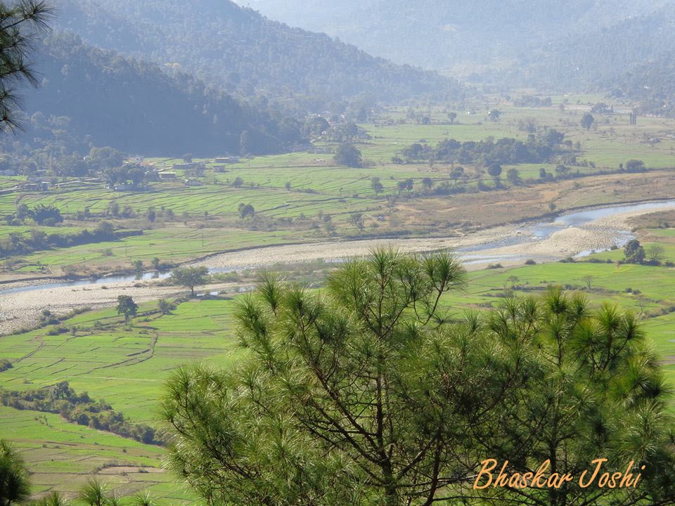 Chaukhutia: The Beautiful Valley in The Heart of Uttarakhand