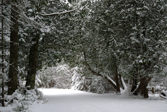 Cliffs and Ruins: Winter cabin camping at Wilderness State Park