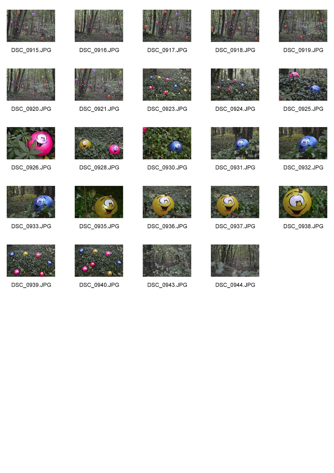 Greg Lake Photography: The Object Image: Contact Sheet