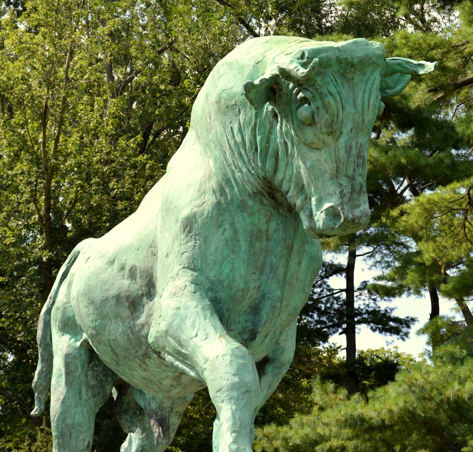 Shybiker: Smithtown Bull