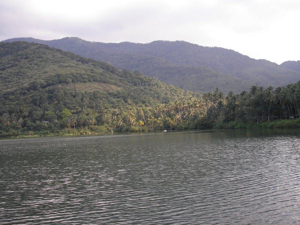 Tamilnadu Tourism: Gundar Dam, Sengottai, Thirunelveli