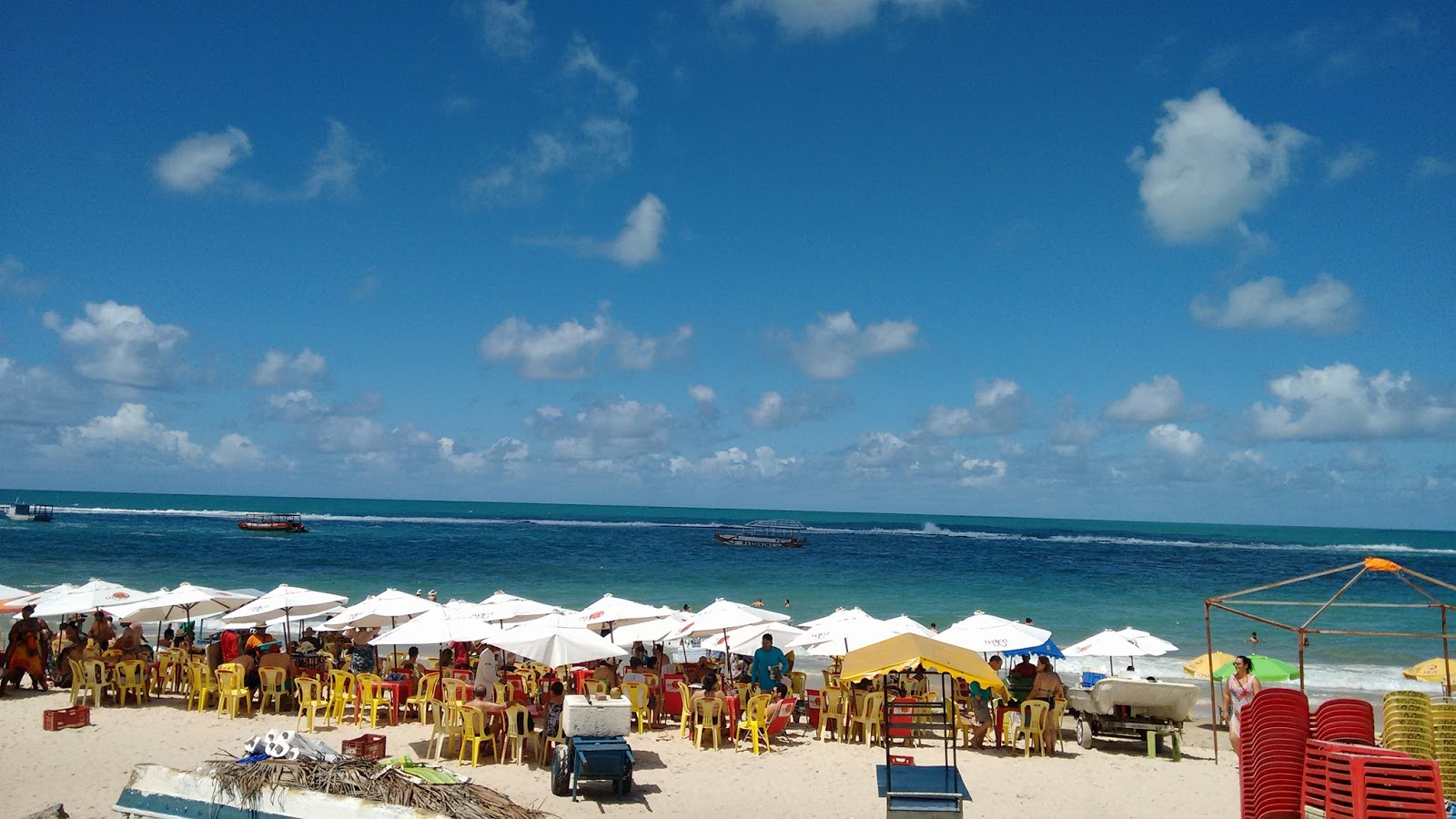Histórias para Viajar : Praia do Francês e um City Tour pelo Centro de ...