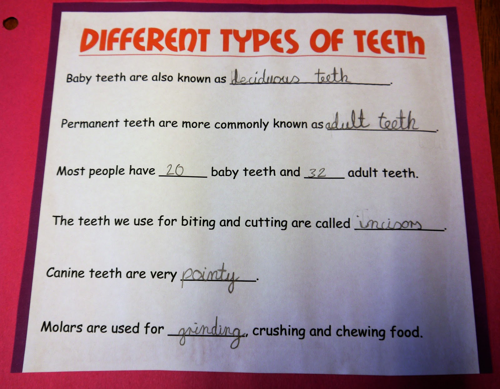 Zęby - Teeth - Interactive Notebook