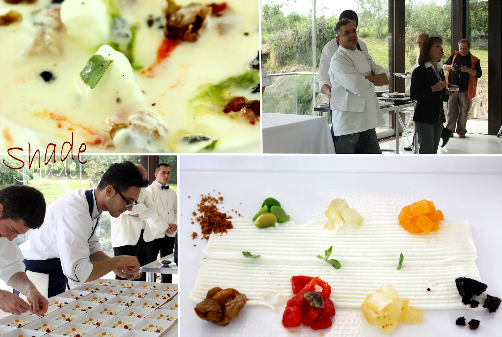 BigShade: Le Strade della Mozzarella 2012: La Ragione, Mouton, Pezone ...