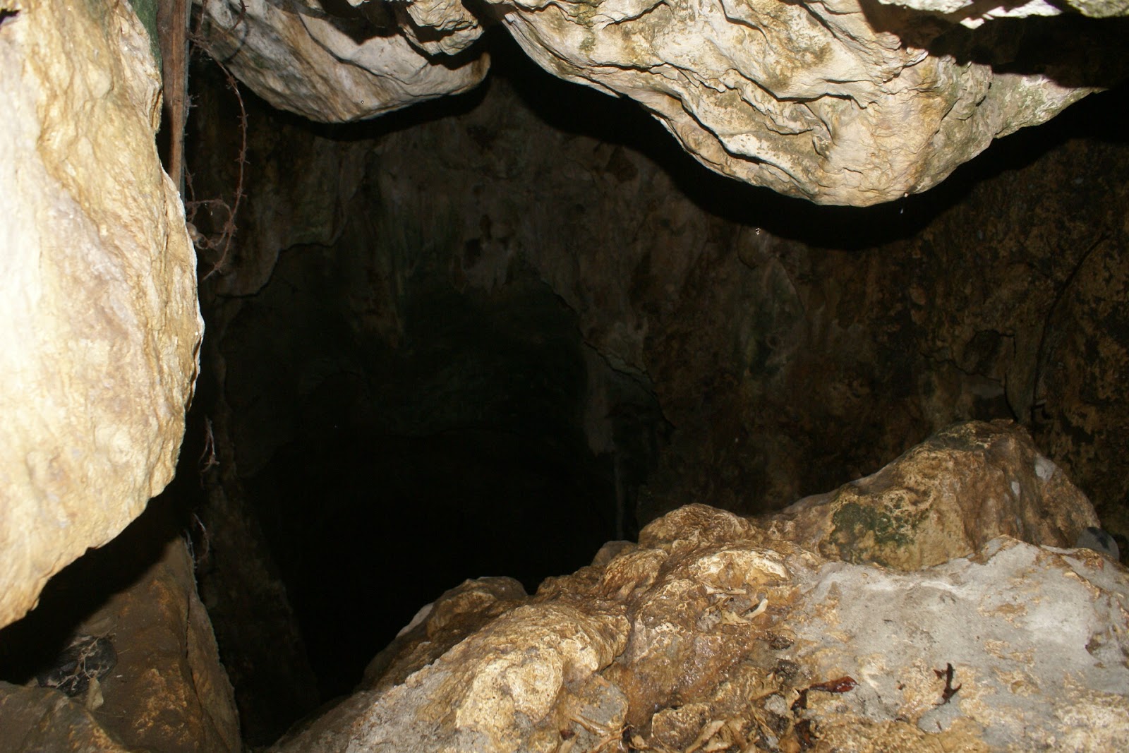 Sarang Walet Goa - Perumperindo.co.id