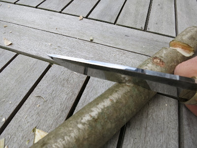 AD Blog - bushcraft per passione: Try Stick: un metodo semplice ed ...