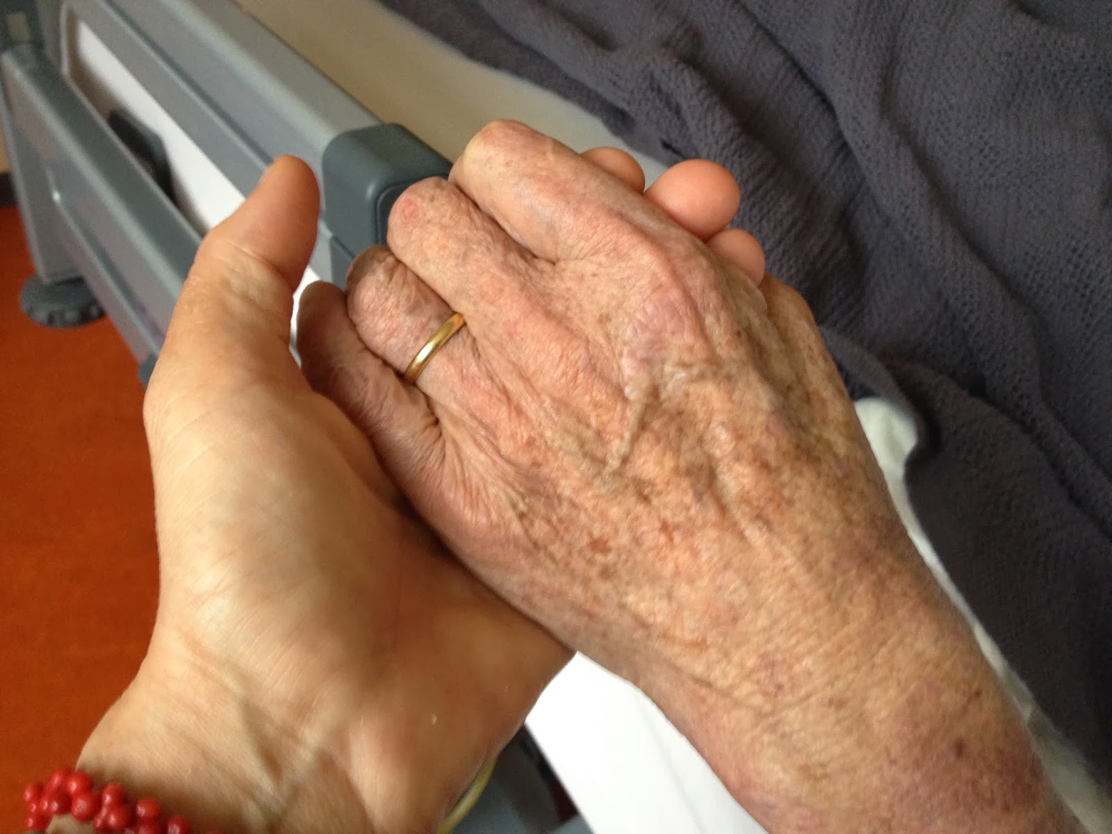 Fat cun plaschair - da Monica: 2014