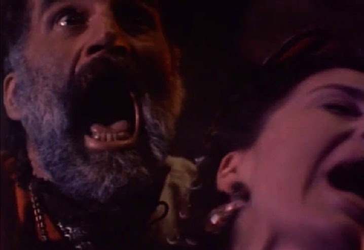 The Bloody Pit of Horror: Howling V: The Rebirth (1989)