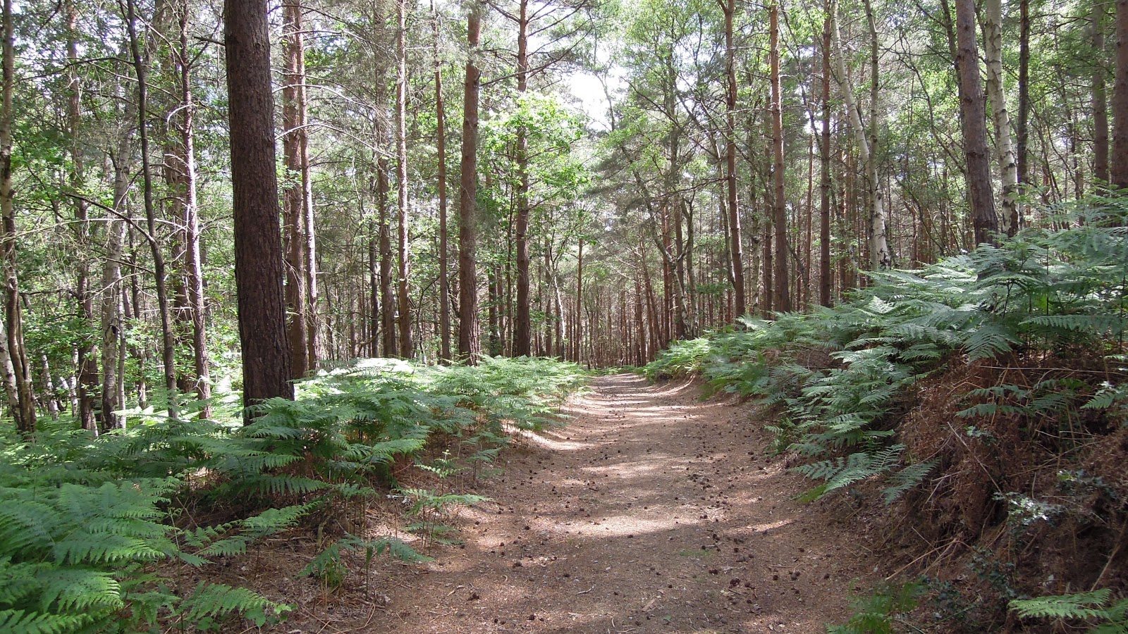 Ash Bash: Cycling Ash military ranges