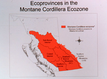 Montane Cordillera