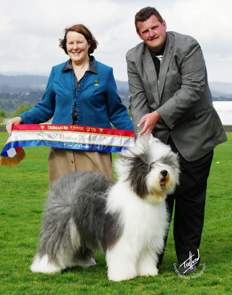 TraffordPhotos - Australian Dog Show Photos: October 2014