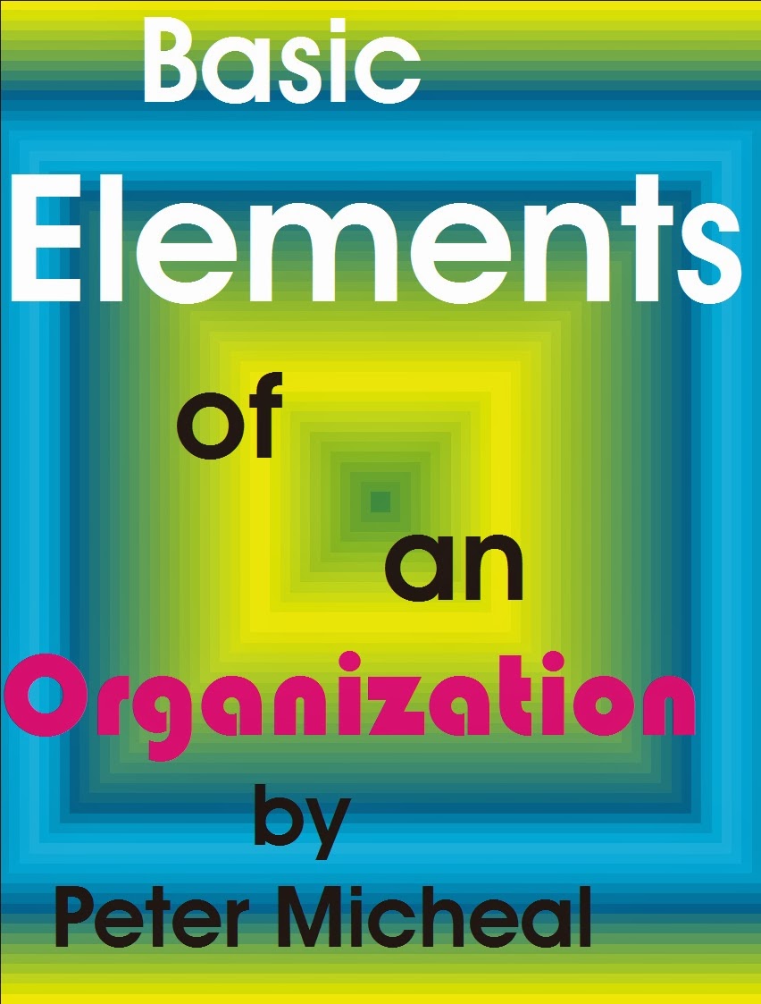 Uzochukwu Mike's Zone: Basic Elements of an Organization