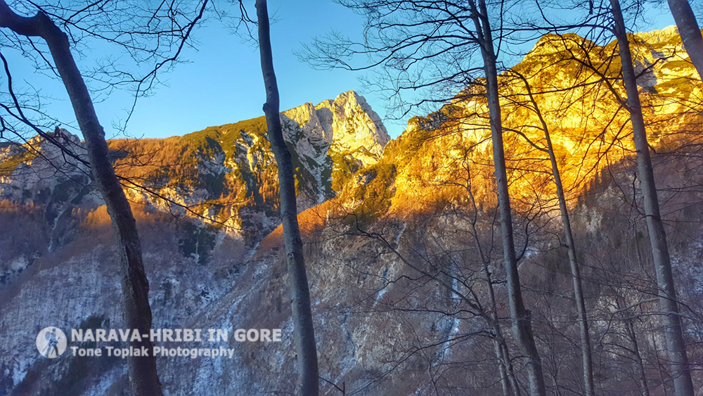 Narava hribi in gore: Prva v letu Turska gora 2251m