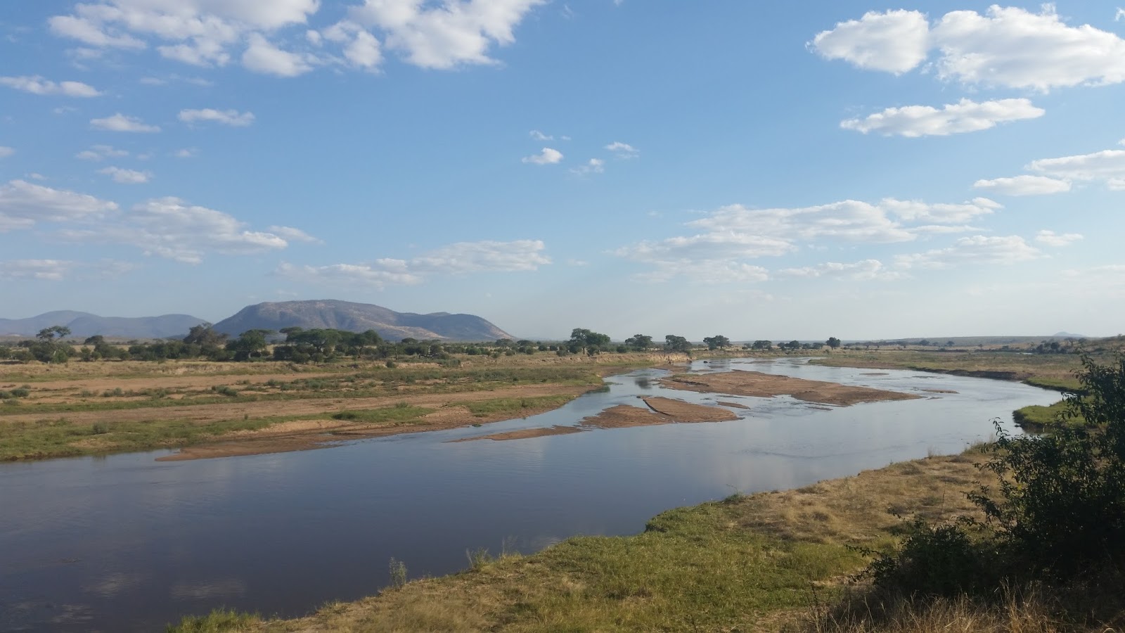 Times in Tanzania: Ruaha National Park: Trips I & II