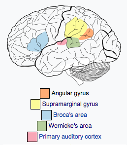 Ten Things That I Learned Today: November 2017