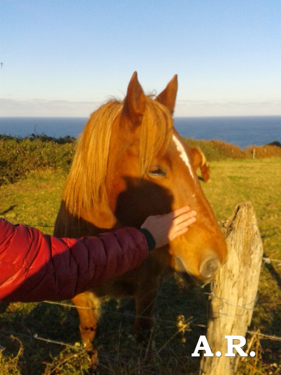 fotografía alonsorobisco.es: Fotografía S Faro de Lastres mar y ...