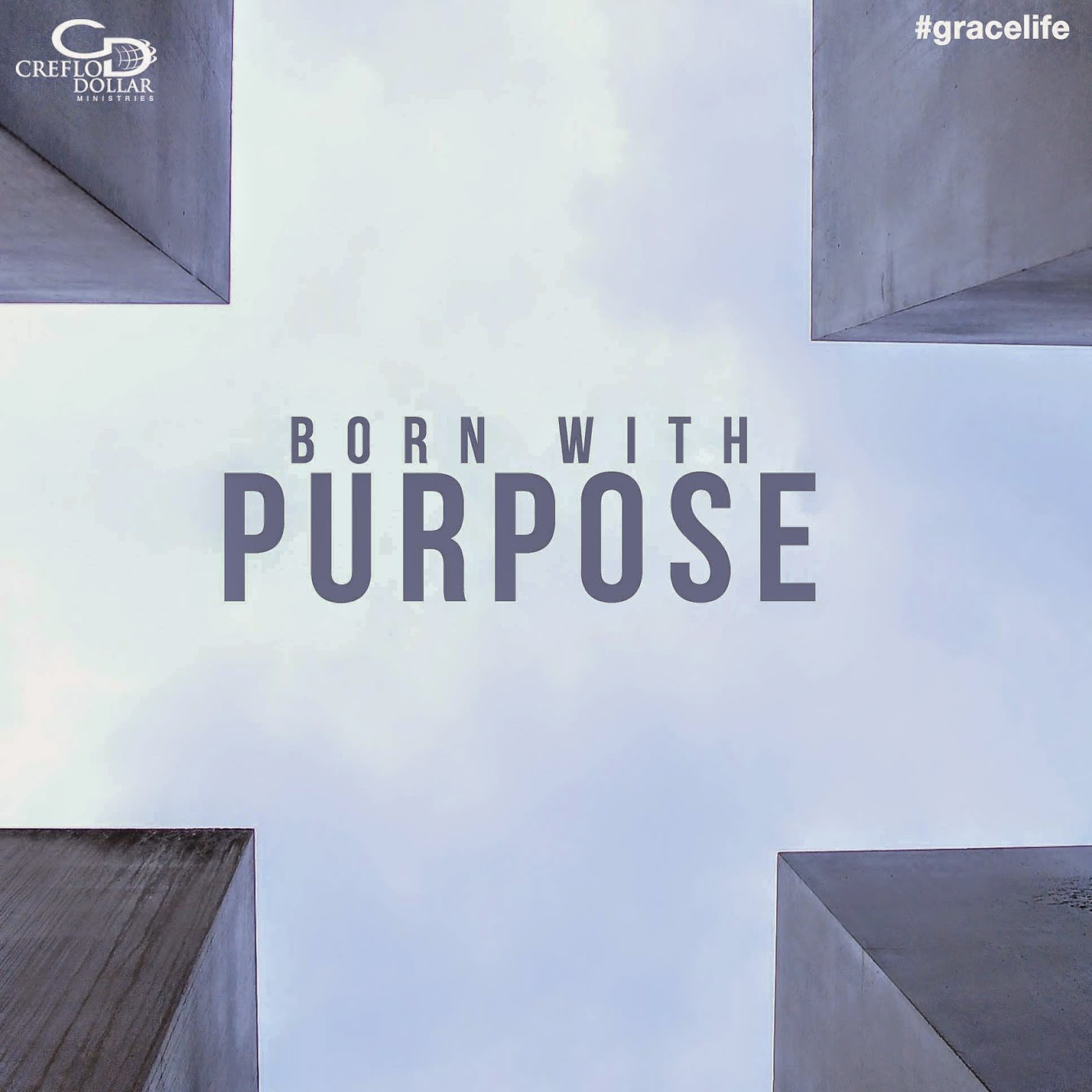 Reflexiones: born with purpose...
