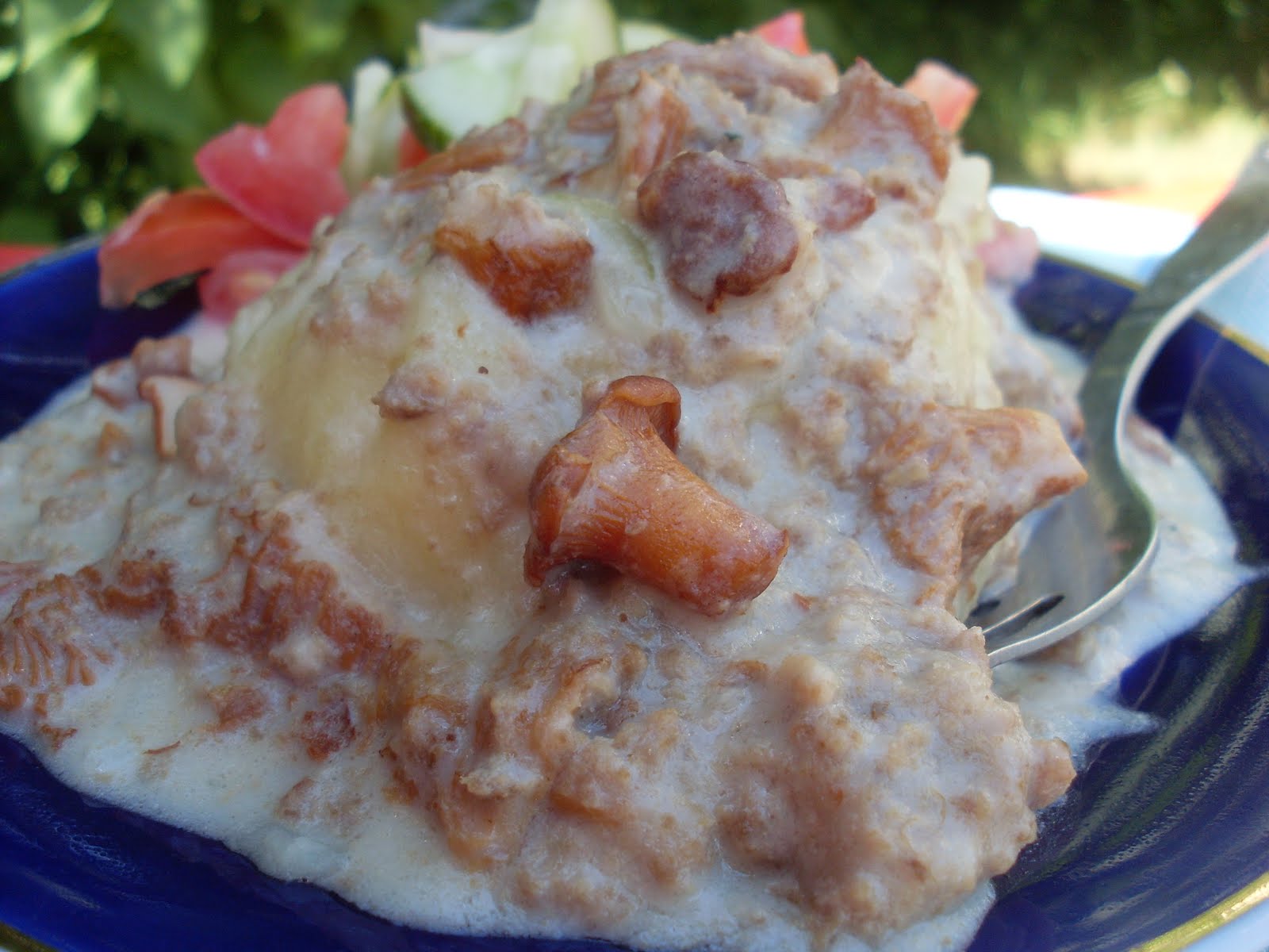 Kokkamine: Seene-hakklihakaste