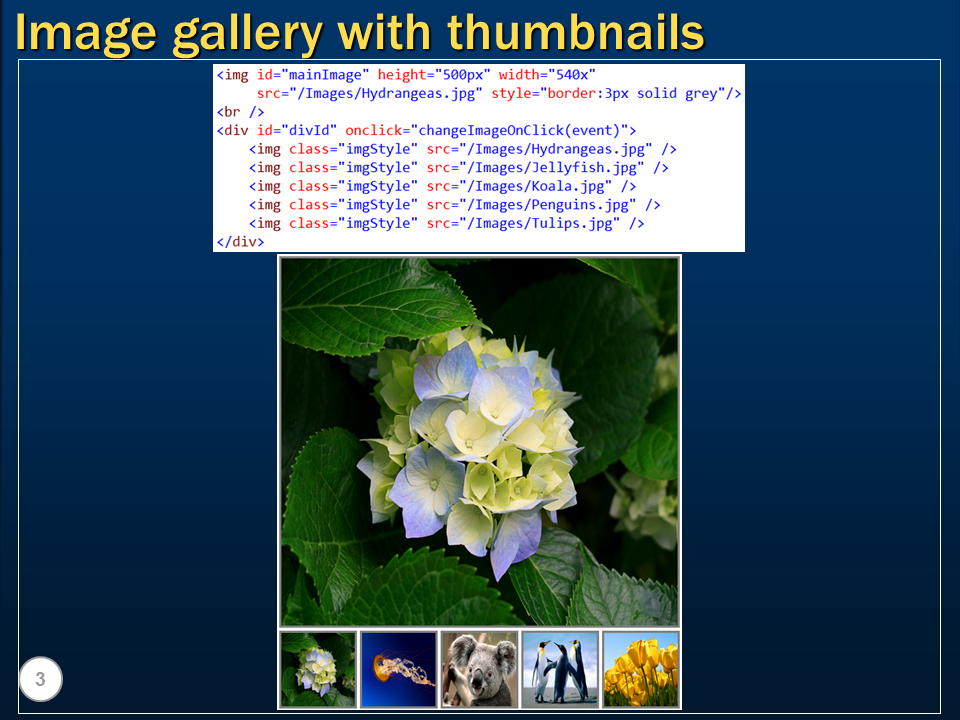Sql server, .net and c# video tutorial: Image gallery with thumbnails ...