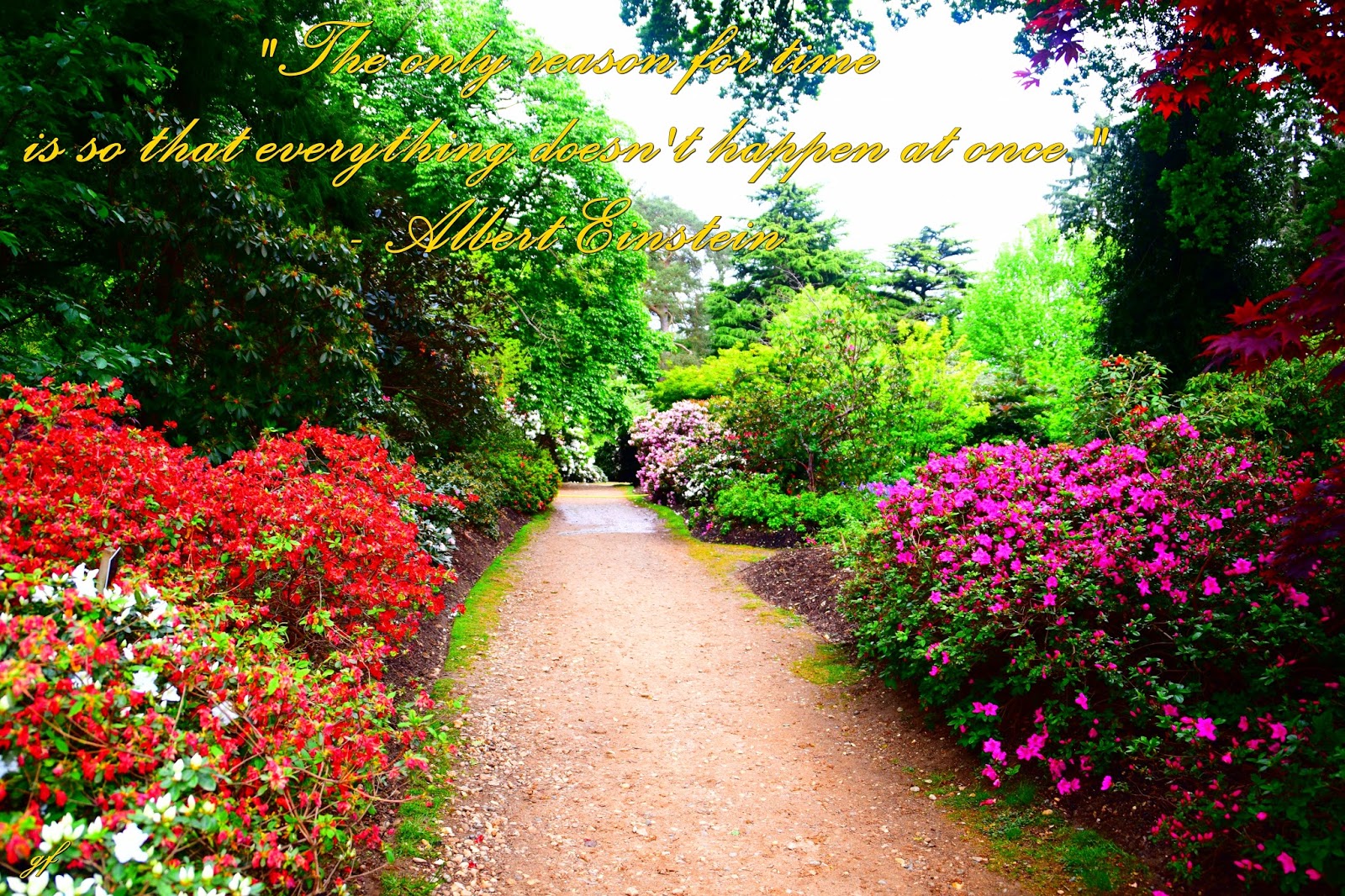 Enjoy your time with beautiful places: QUOTES