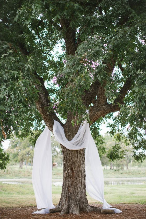 Tracey-anne's Blog: The Trysting Tree ~ Folklore