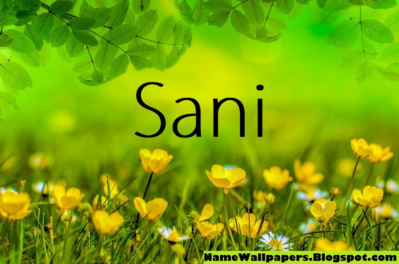 Sani Name Wallpapers Sani ~ Name Wallpaper Urdu Name Meaning Name ...