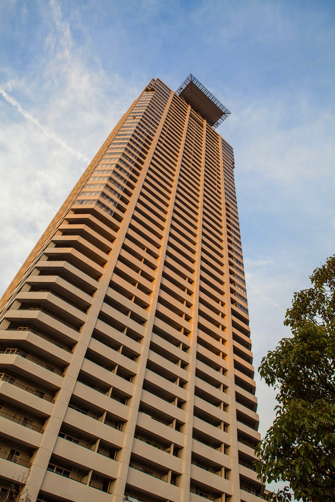 Northern Lights & The Rising Sun: The Lions Mid Capital Tower - Your ...