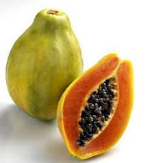 FAIDA ZITOKANAZO NA MATUMIZI YA MAPAPAI ~ KILIMO NA UFUGAJI