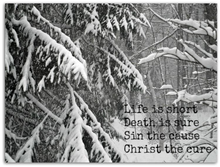 A Haven for Vee: Life is Short